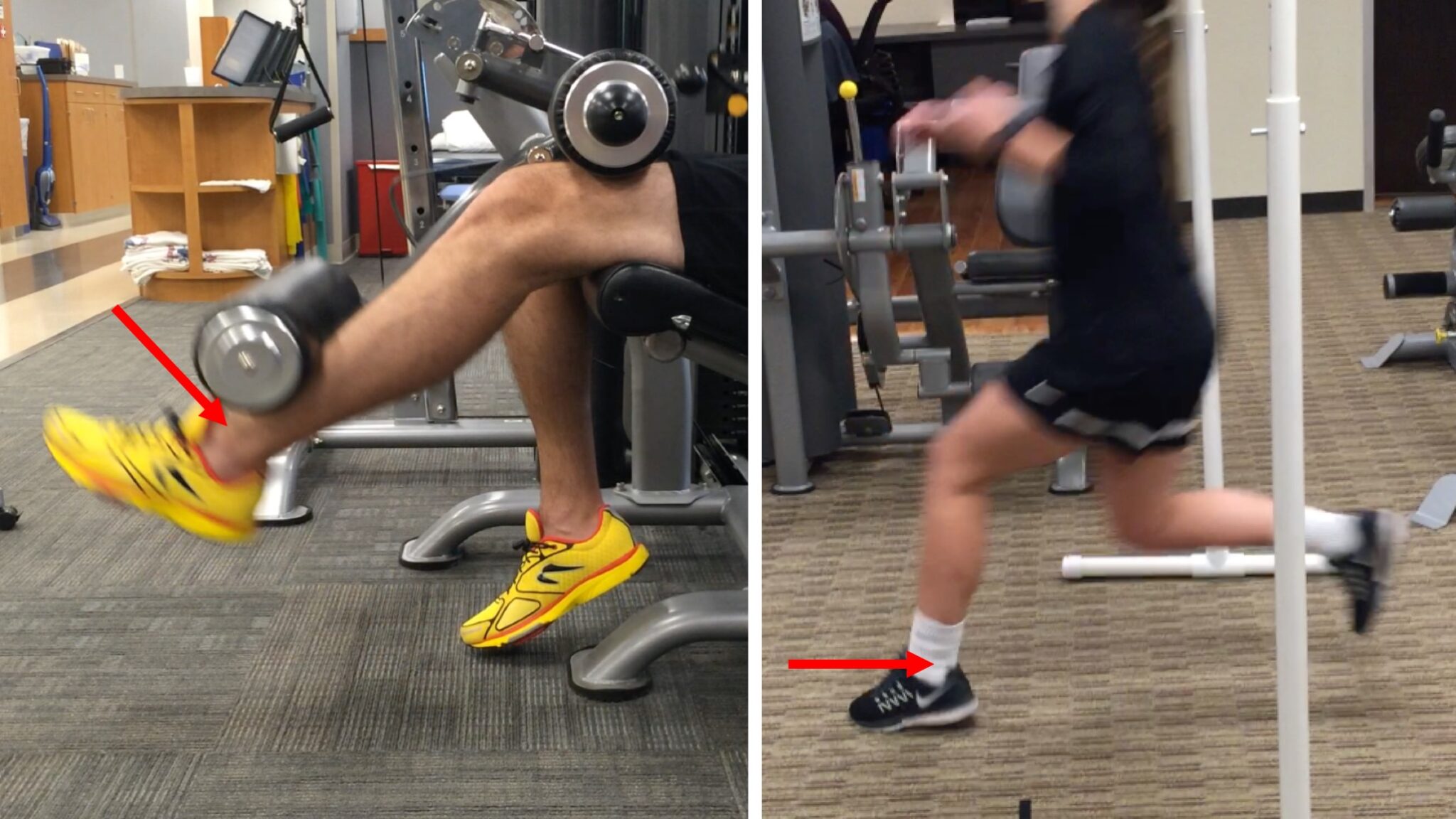 The False Dichotomy of Open vs Closed Kinetic Chain - The Science PT